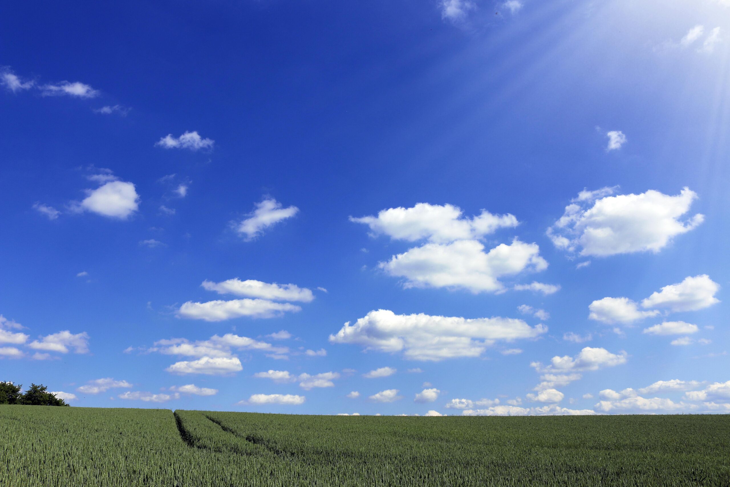 Weather Forecast for Saturday, April 4, 2026 - SweetwaterNOW